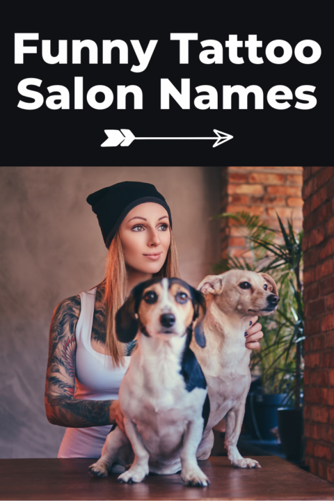 459 Coolest Tattoo Shop & Artist Names for Parlors 2022